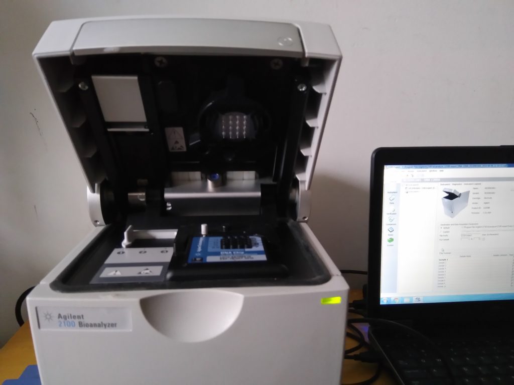 Agilent 2100 Bioanalyzer G2938B System